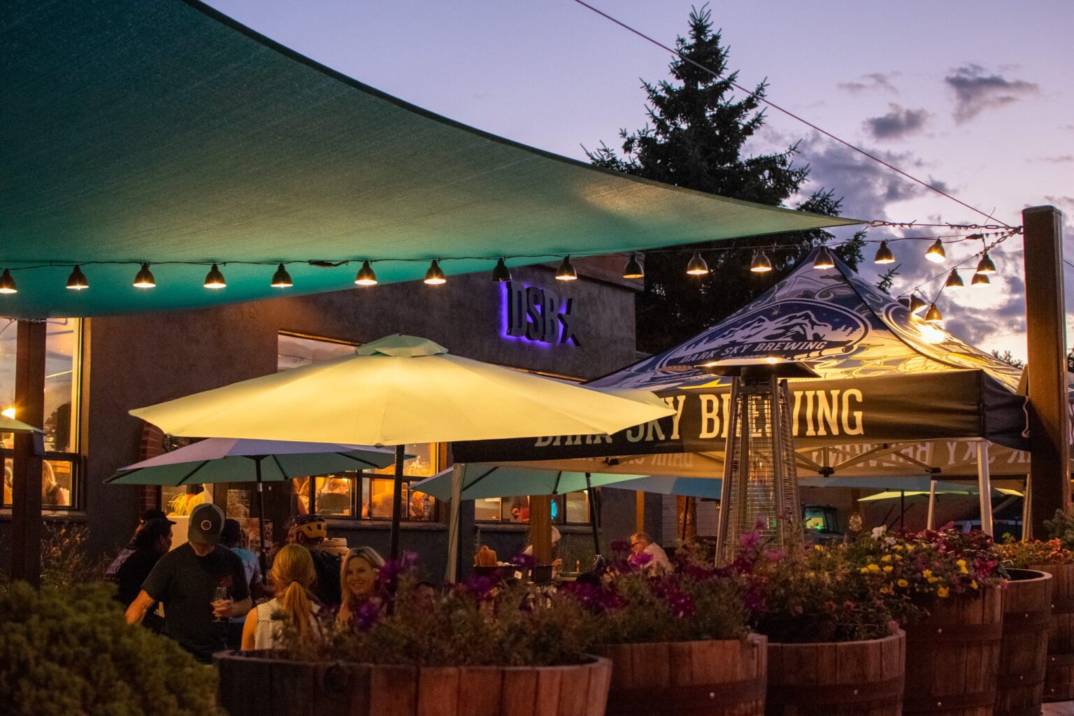 Check Out These Top 5 Indoor Activities in Flagstaff, AZ | Stay Porter